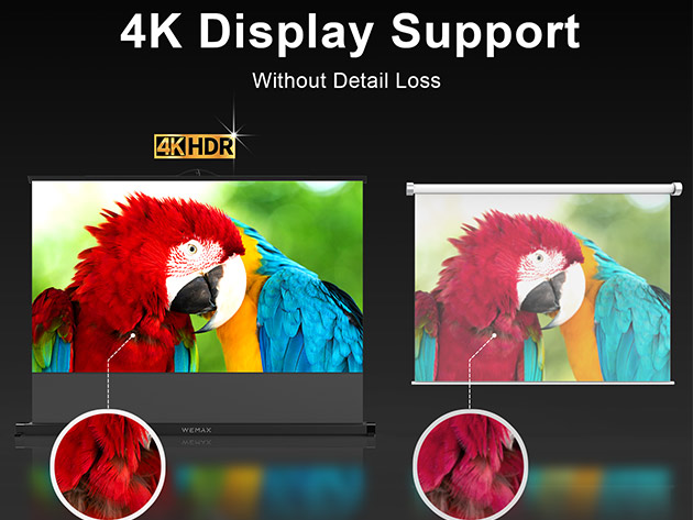 Wemax 50" ALR Portable Projector Screen | Gadget Hacks