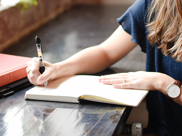 The Become a Professional Creative Writer Bundle | StackSocial