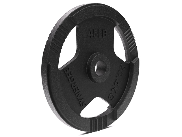 Synergee Cast Iron Weight Plates - Two And A Half Pound Plate - Single ...