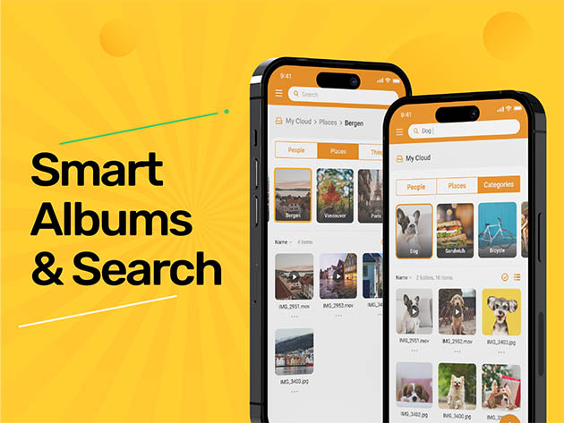 Amaryllo Cloud Storage: One-Time Payment (150GB) | InsideNova