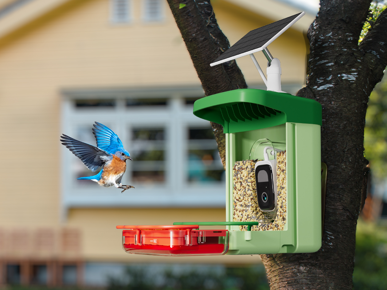 BirdHi Ultra Solar Powered Smart Bird Feeder with Camera | Boing Boing ...