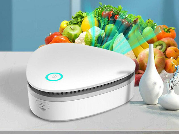 Fresh Ozone Refrigerator Sterilizer | StackSocial