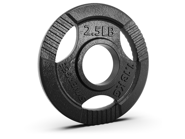 Synergee Cast Iron Weight Plates - Two And A Half Pound Plate - Single ...