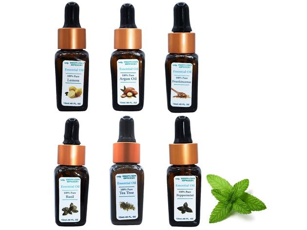 Beaver Brook Botanical Set Essential Oil Bottle Dropper - 6 Pack ...
