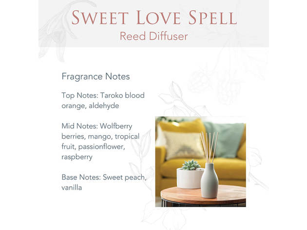 Candle Warmers RDSLS Sweet Love Spell Reed Diffuser | StackSocial