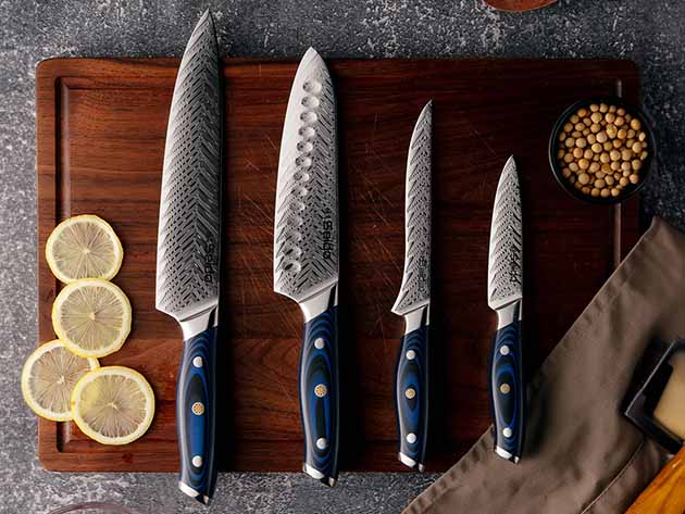 Seido Kanpeki Damascus 4-Piece Knife Set | Joyus