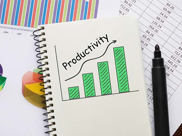 Productivity & Project Management Course for Increased Profits | TechSpot